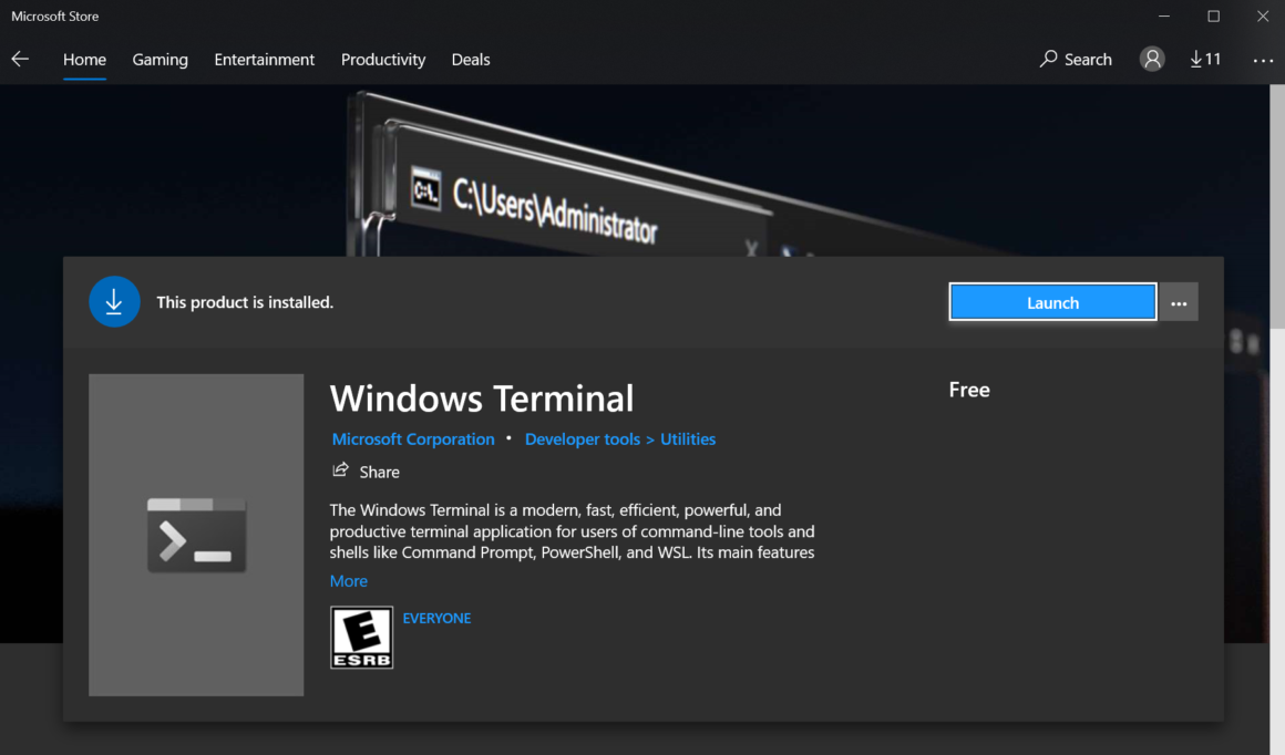 Ultimate Linux Shell Guide for Windows 10 – WSL + Terminal + ZSH + oh ...
